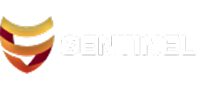 Sentinel AI Surveillance System